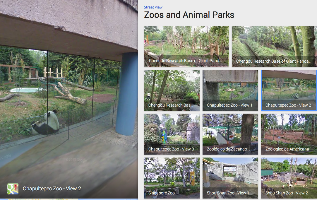 Google's Street View fun continues with virtual visits to zoos & animal ...