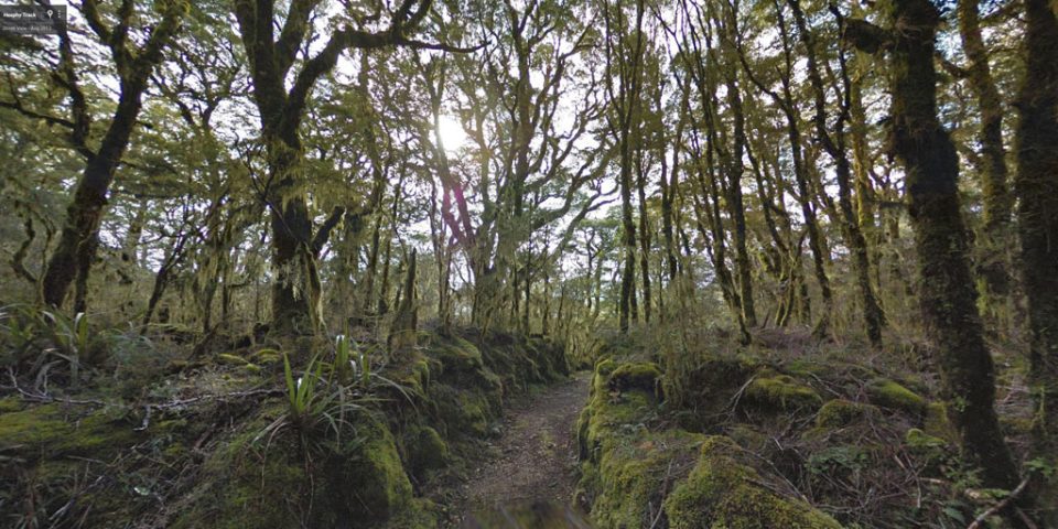 Google Trekker - 9to5Google