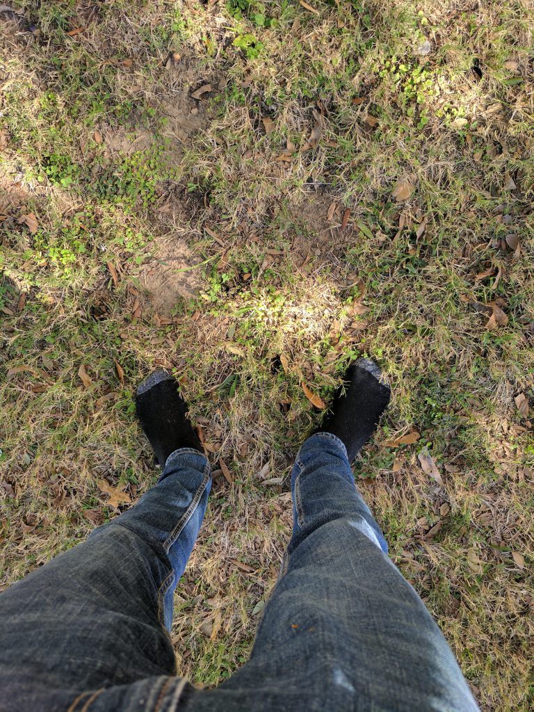 Google Pixel XL vs. OnePlus 3T: Easily two of the year's best Android ...