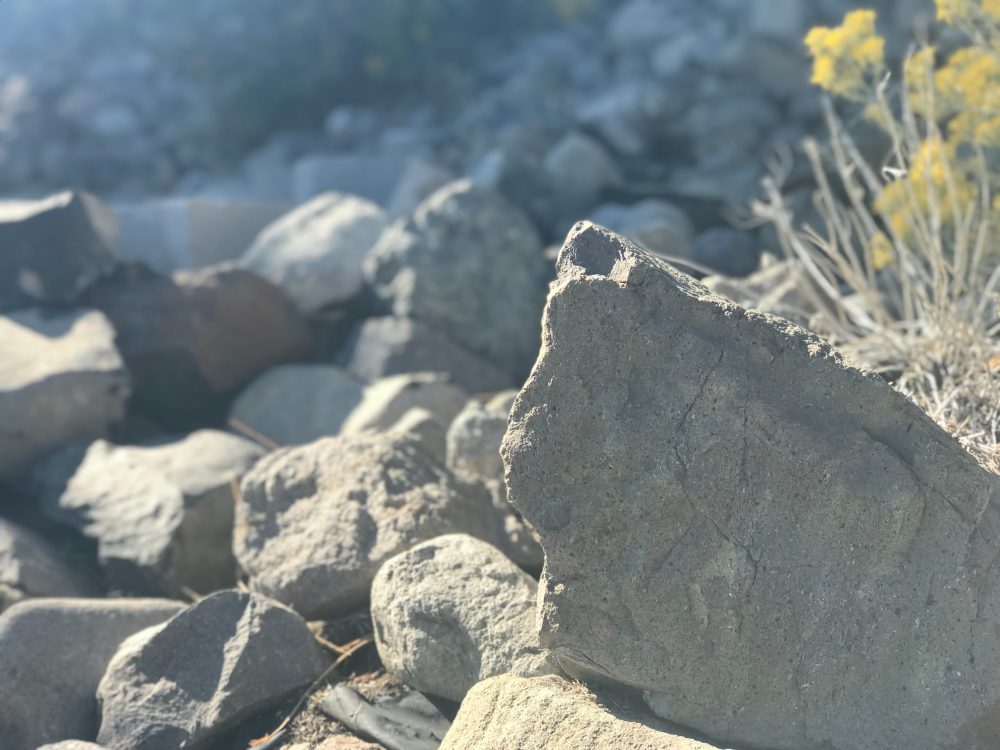 Portrait Mode: How the Google Pixel 2's camera compares to the iPhone ...