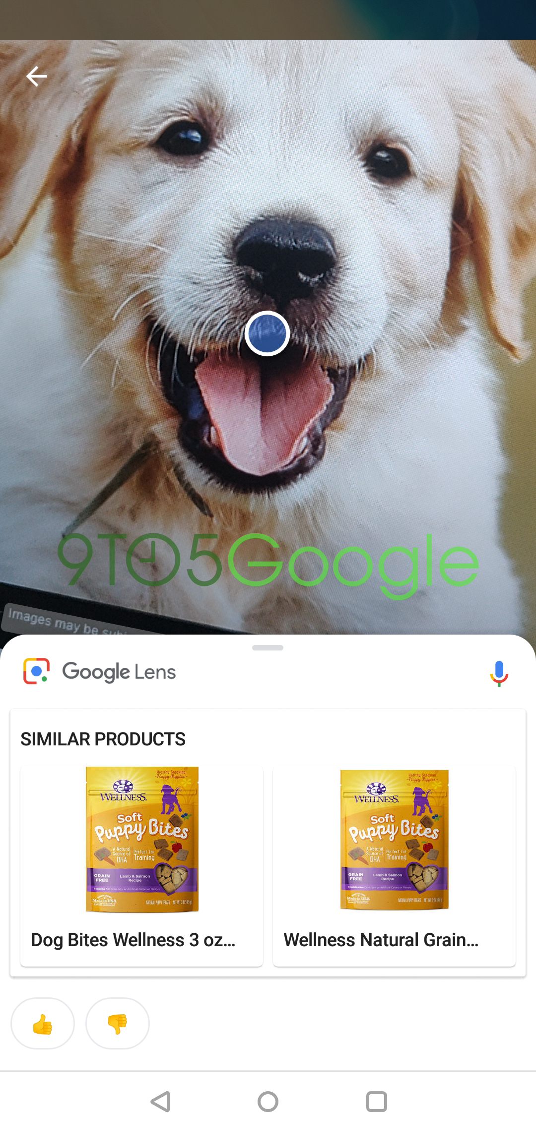 Real-time Google Lens with redesigned UI begins rolling out [Gallery]