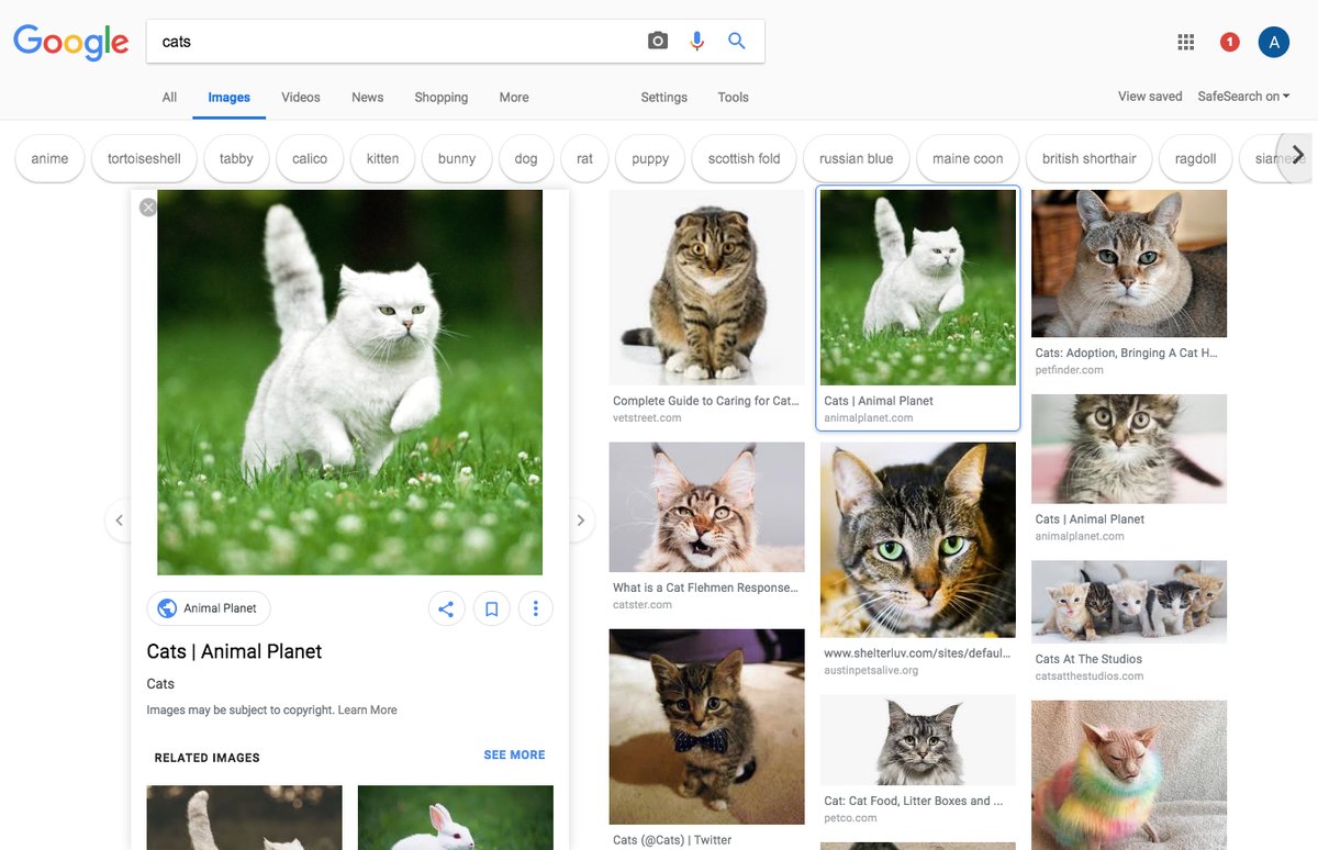 Google Images testing new web interface w/ rounded design & card-based ...