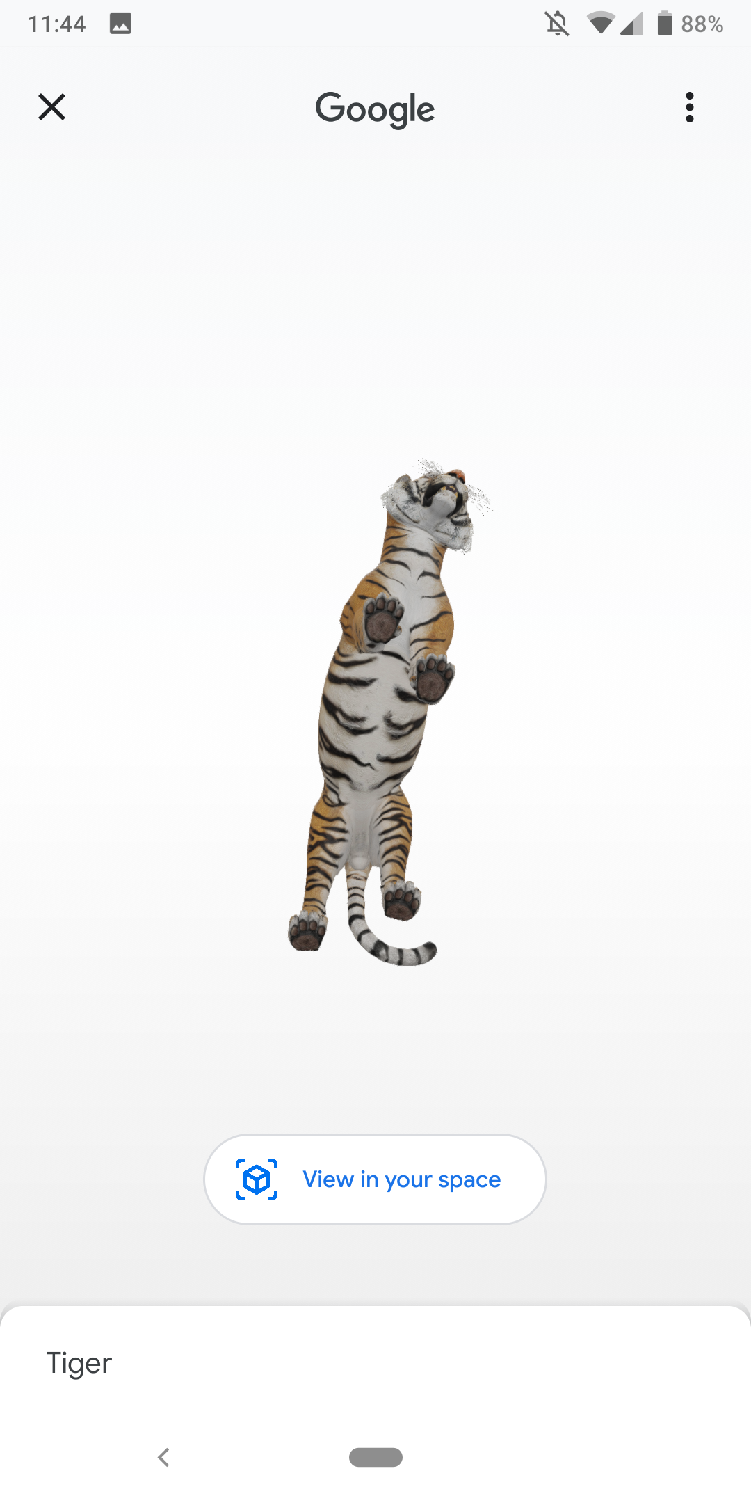 First AR objects launch in Google Search with 3D animals