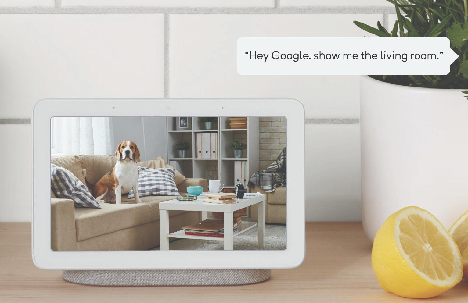 Wyze cameras add Google Assistant support w/ live feeds - 9to5Google