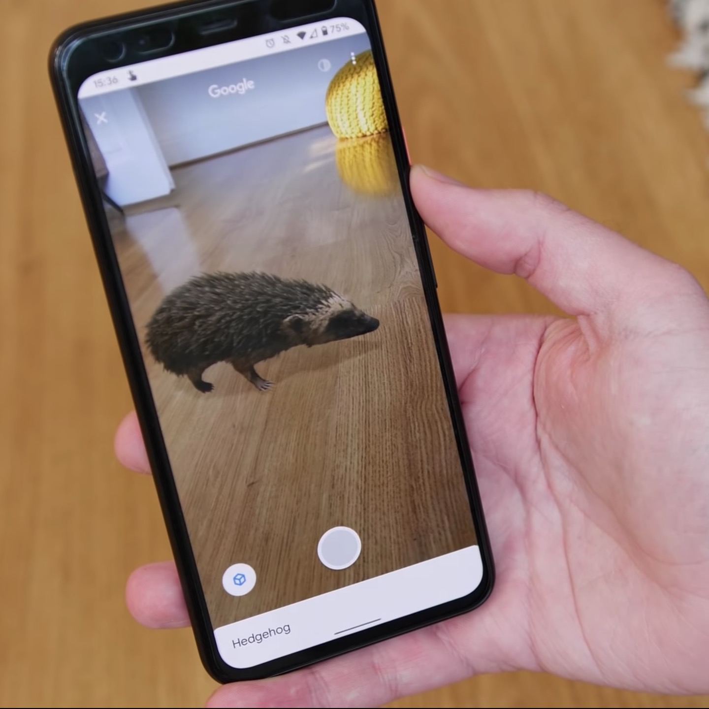 What phones support Google 3D animals 'view in your space' - 9to5Google