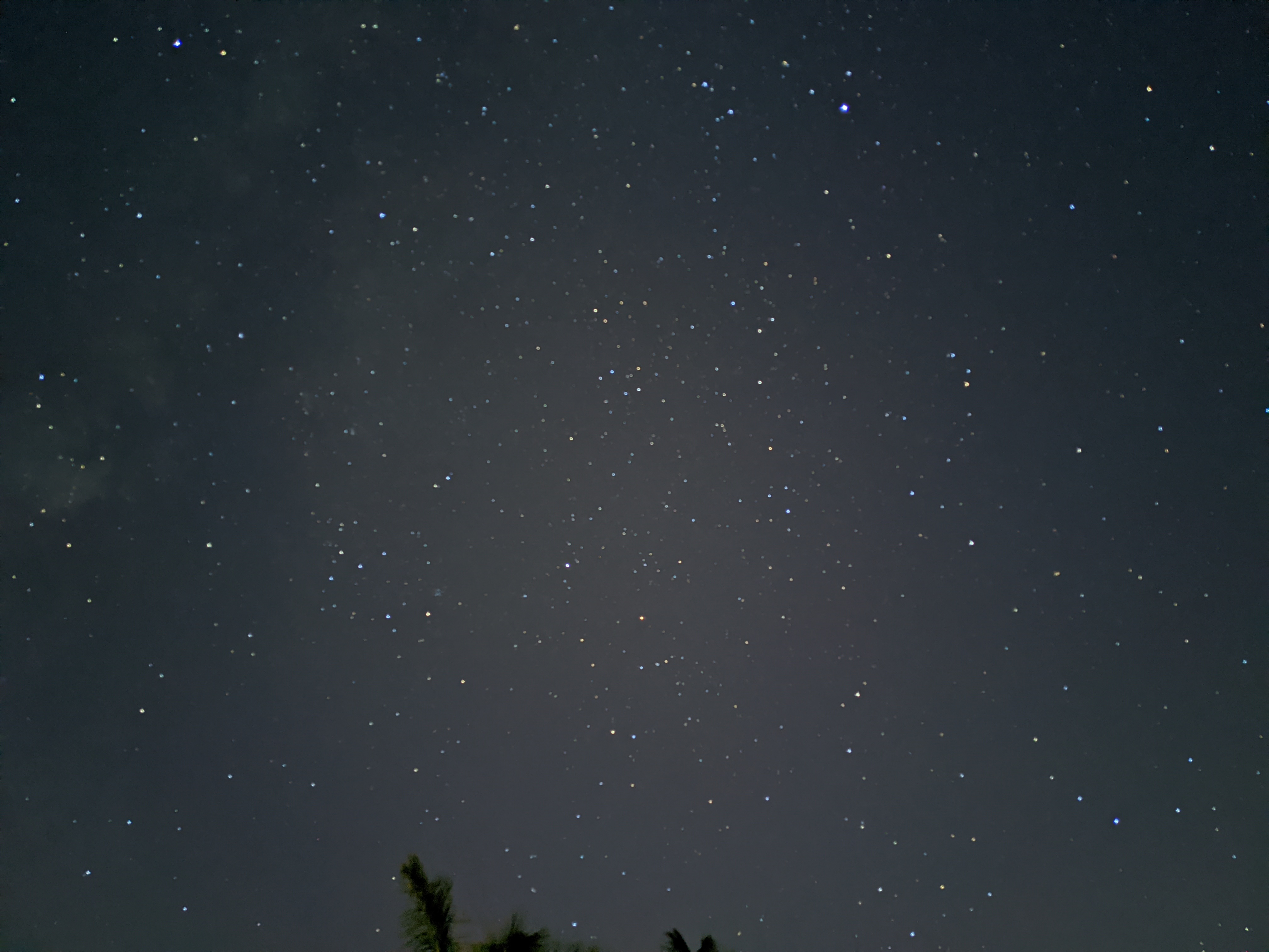 [Update: Zoom, Night Sight, Portrait] Google Pixel 4a camera stills ...