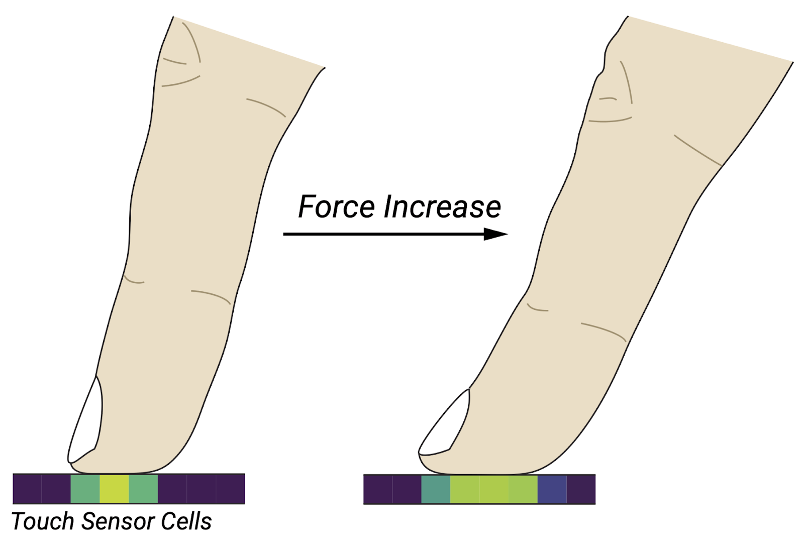 Google details ML behind Pixel 4's 'firm press' - 9to5Google