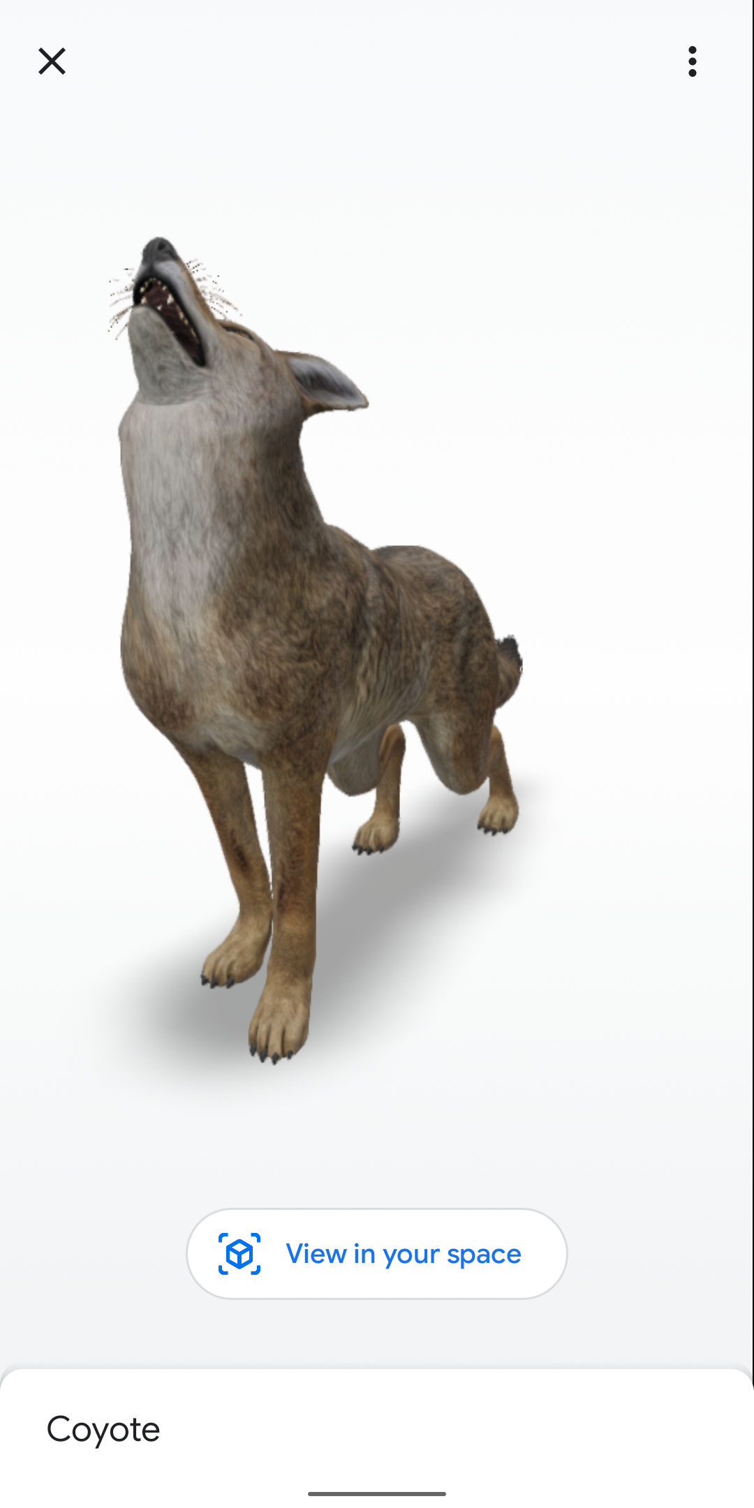 Google 3D animals: unicorn, corgi, and more coming soon - 9to5Google