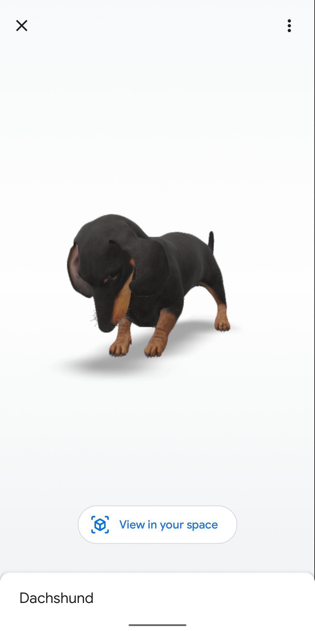 Google 3D animals: unicorn, corgi, and more coming soon - 9to5Google