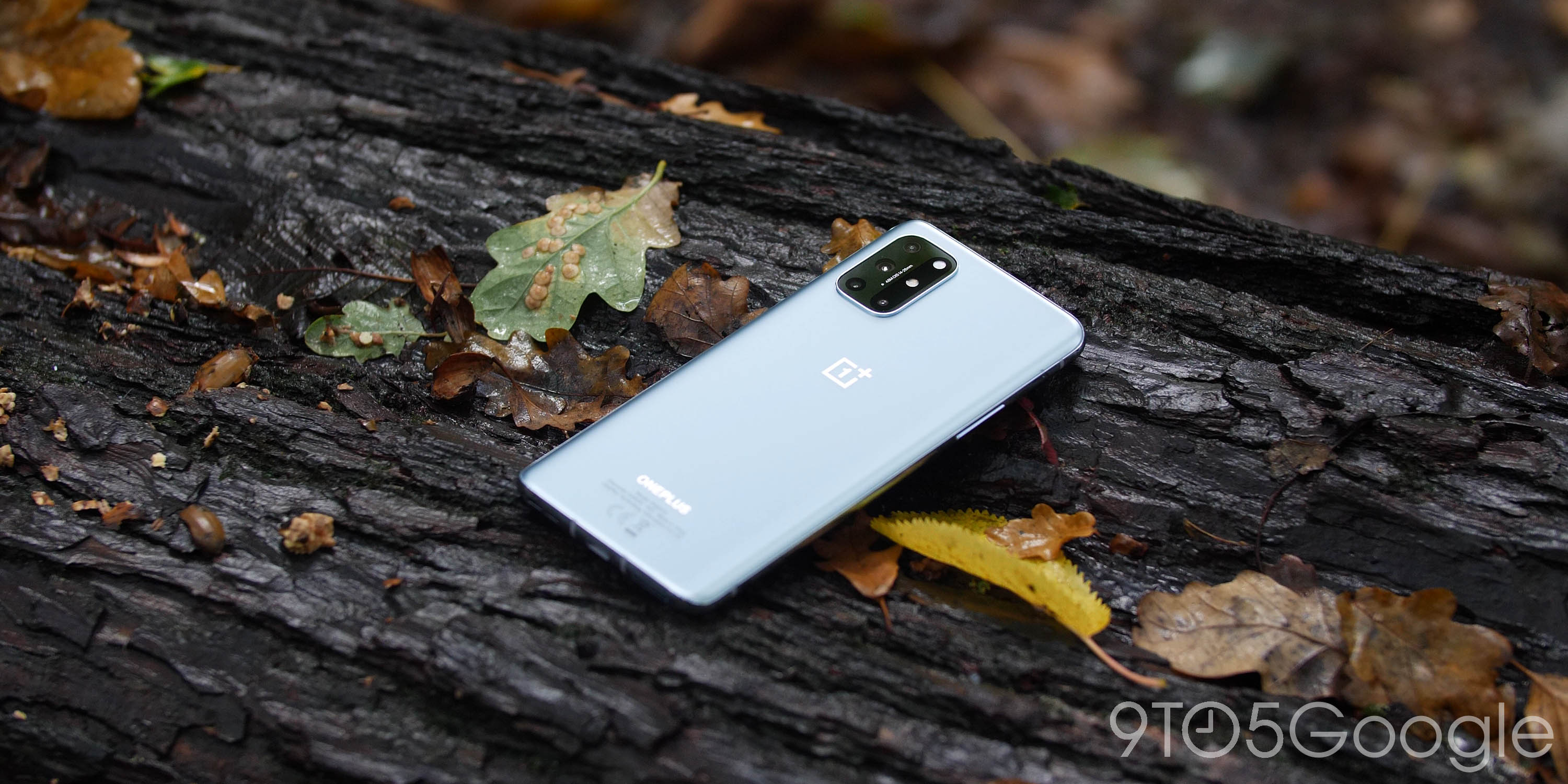 OnePlus 9 set to launch earlier than expected in March 2021 - 9to5Google