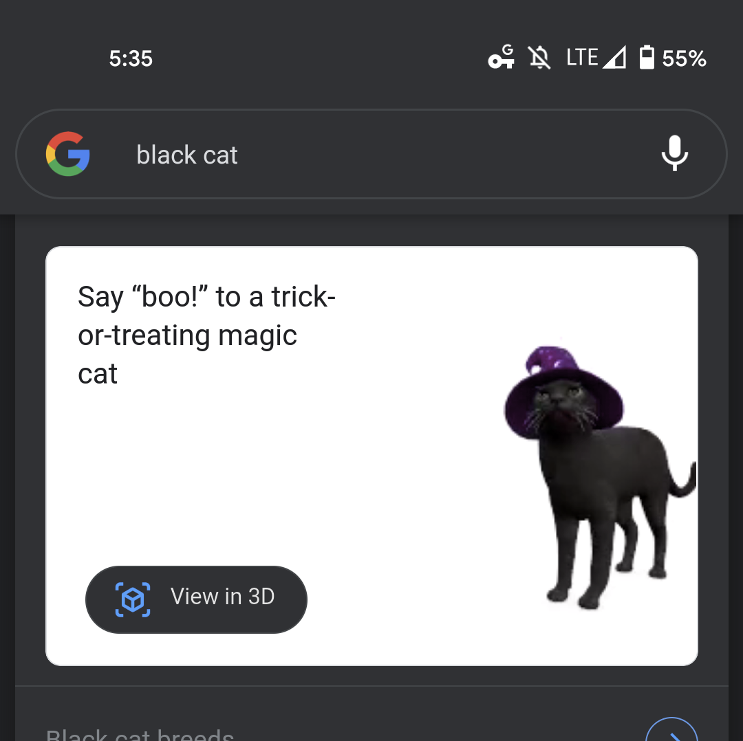 Google 3D Animals for Halloween: Black cat, human skeleton - 9to5Google