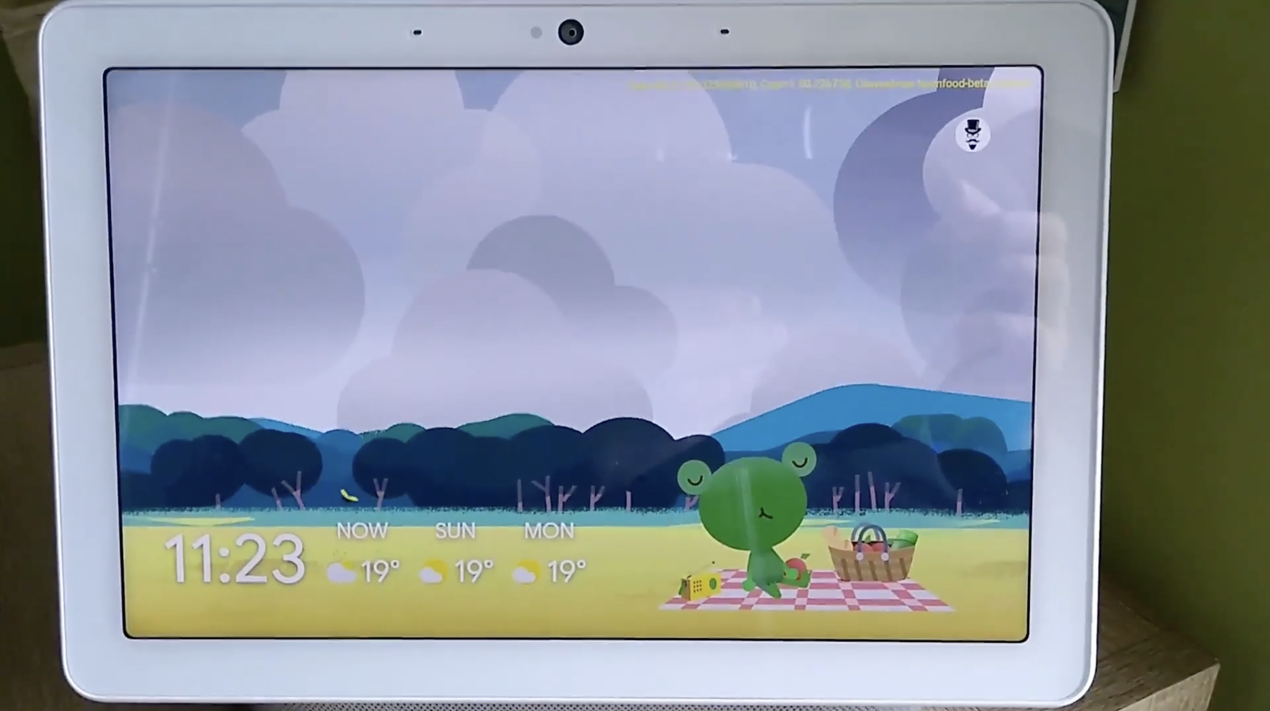 Google tests animated ‘Weather Frog’ background on Nest Hubs, Smart ...