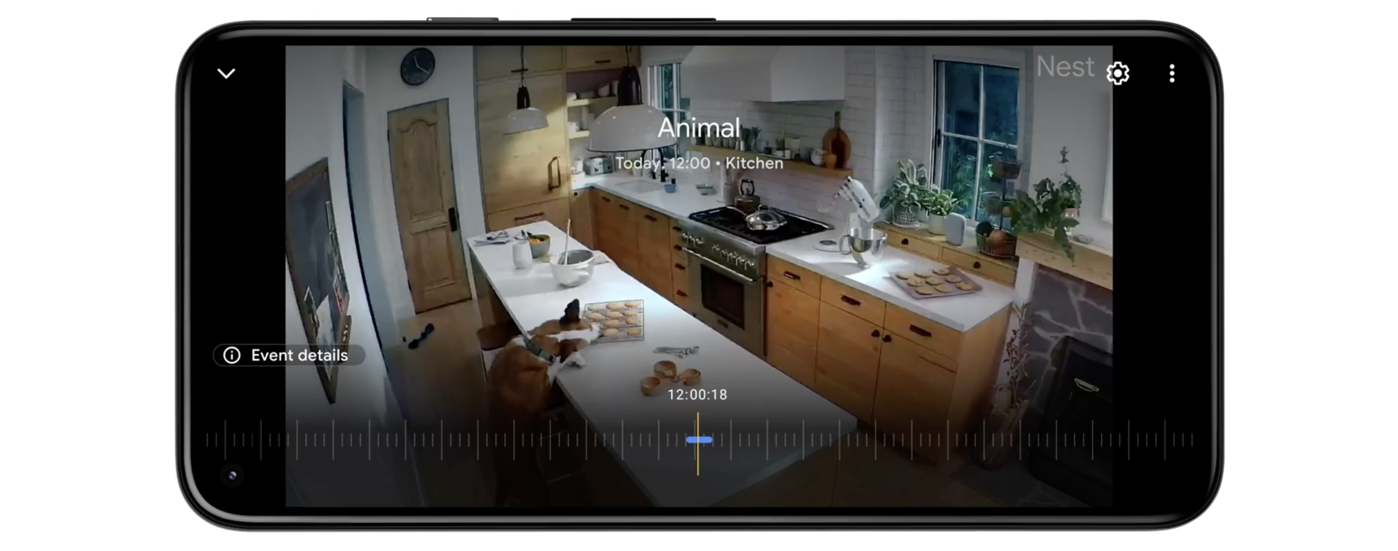 New Nest Cams, Doorbell require the Google Home app - 9to5Google