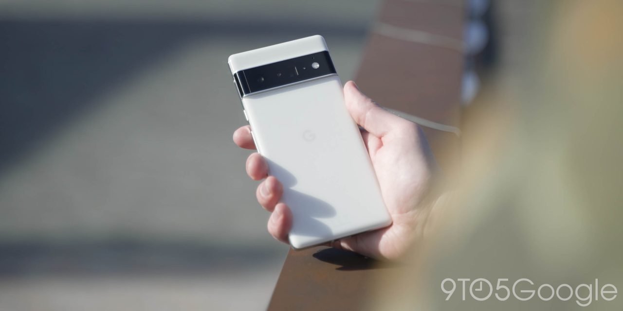 Here's just what color Pixel 6/6 Pro our readers picked up - 9to5Google