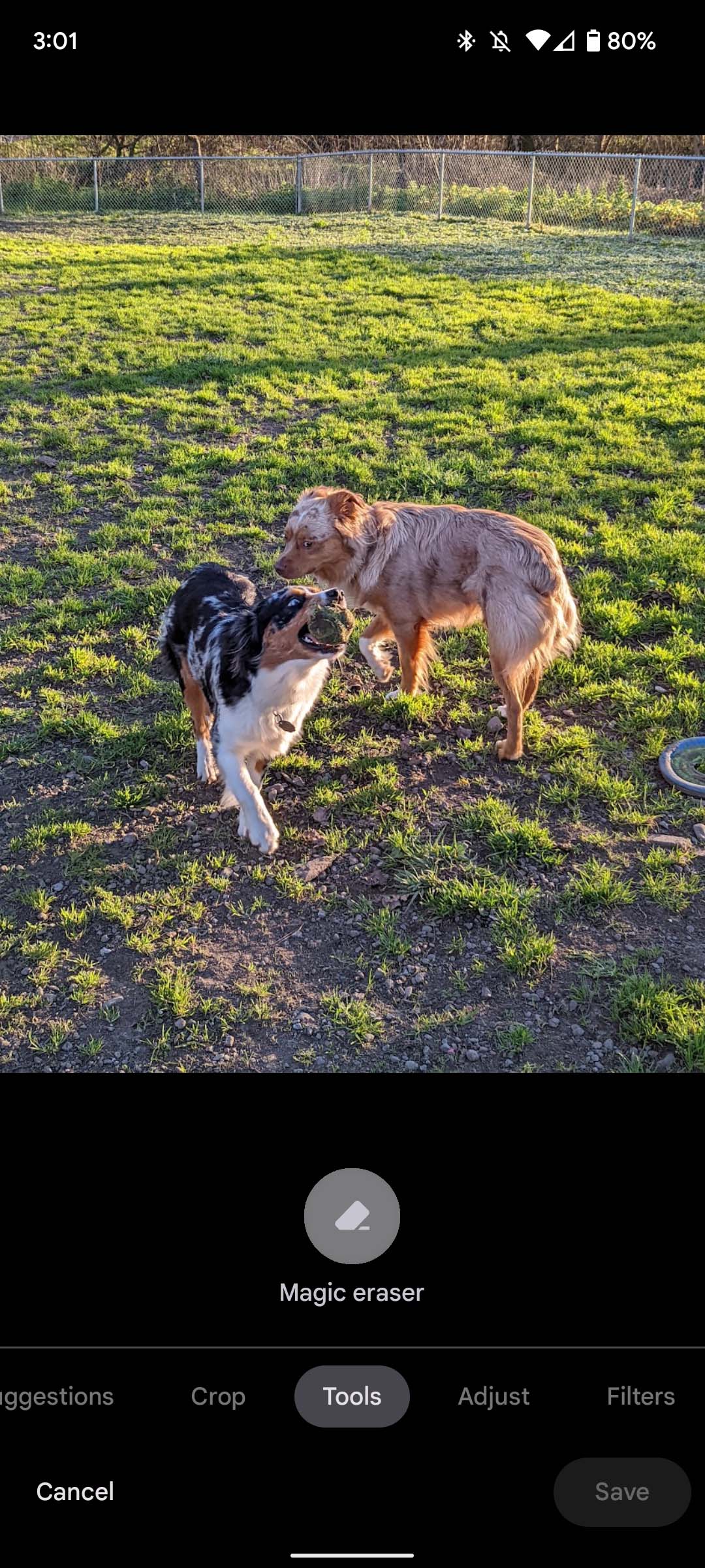 Magic Eraser and Camouflage mode on Pixel 6: How to use it