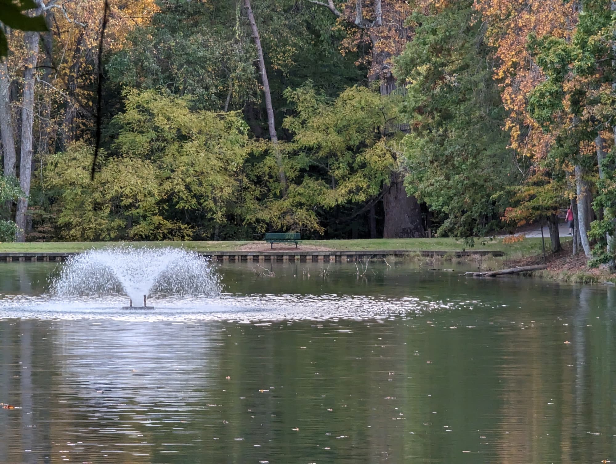 Here's what every camera on the Pixel 7 Pro does