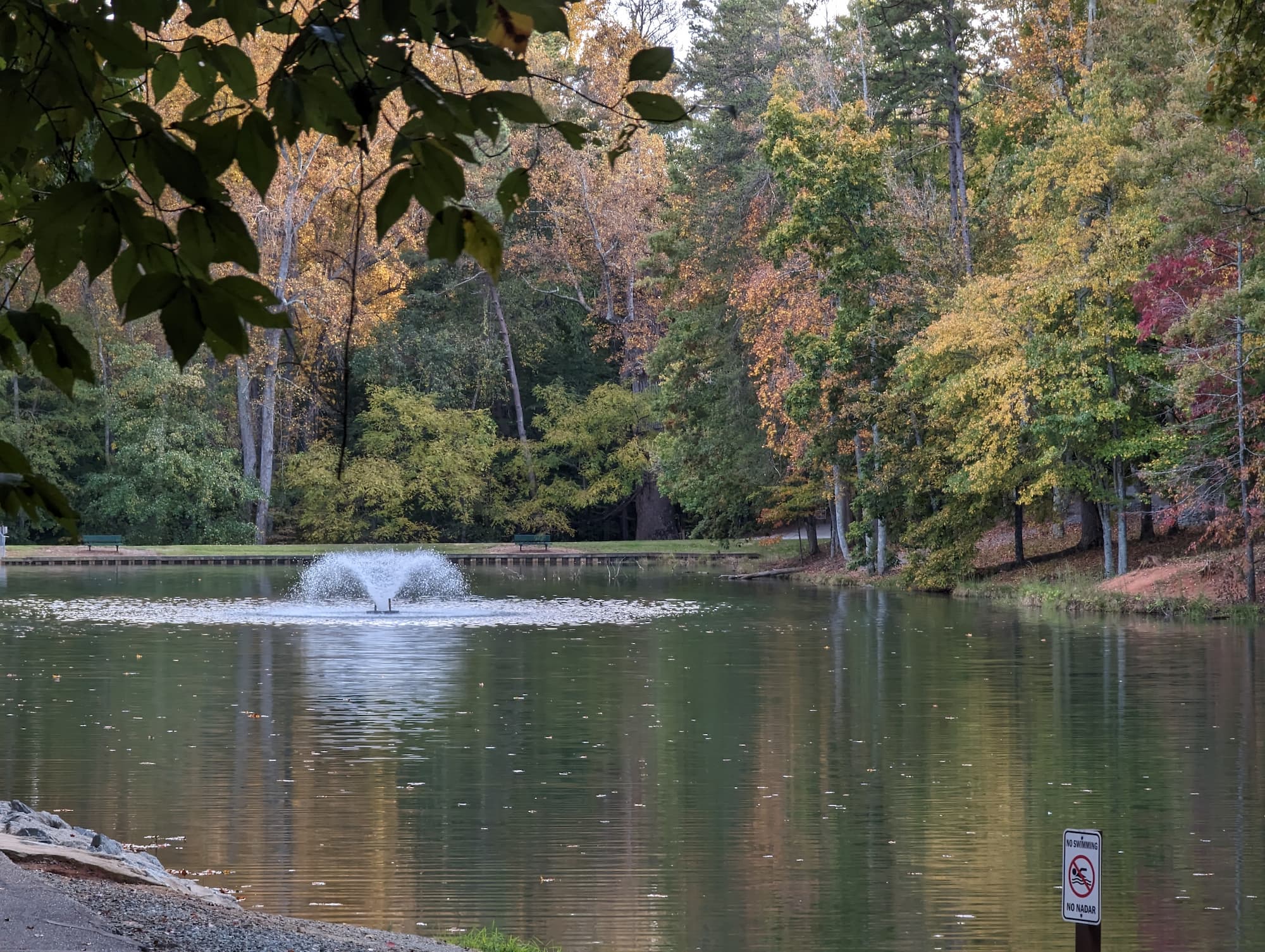 Here's what every camera on the Pixel 7 Pro does