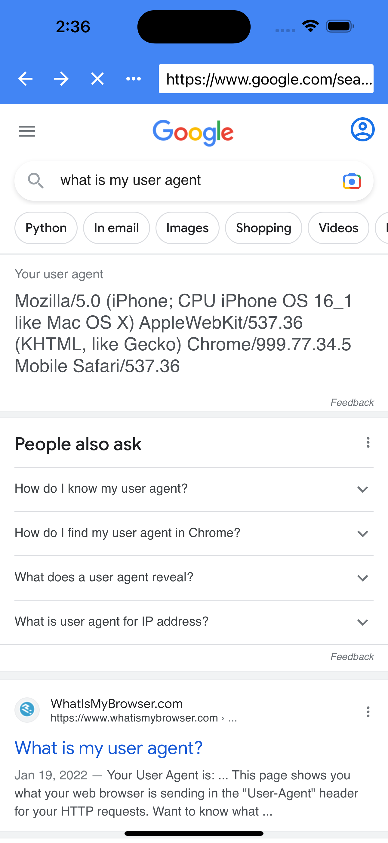 First look at Google Chrome's Blink engine running on an iPhone