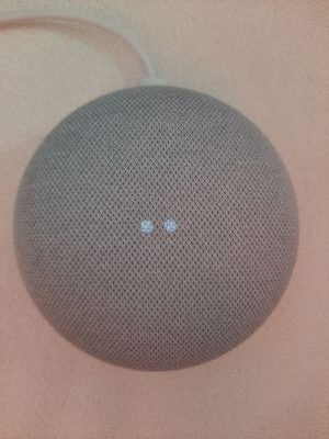 Google Home Mini update bricks devices for some users
