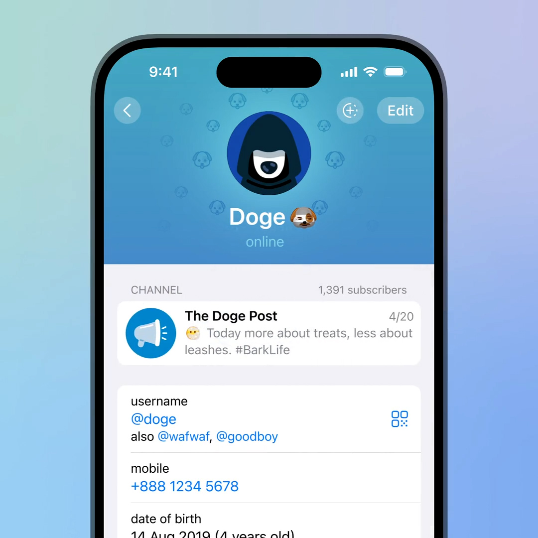 Telegram adds 15 new features including profile view and more