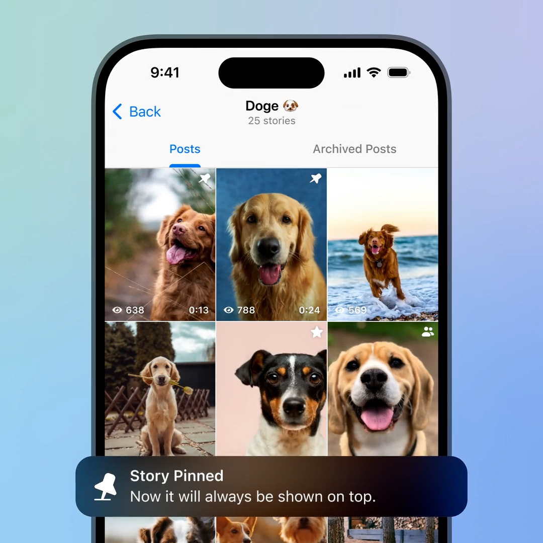 Telegram adds 15 new features including profile view and more