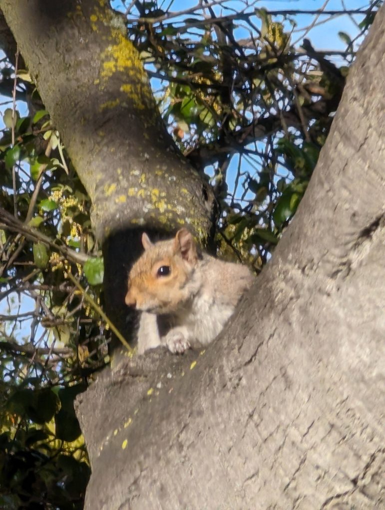 Here are Pixel Zoom Enhance examples [Gallery]