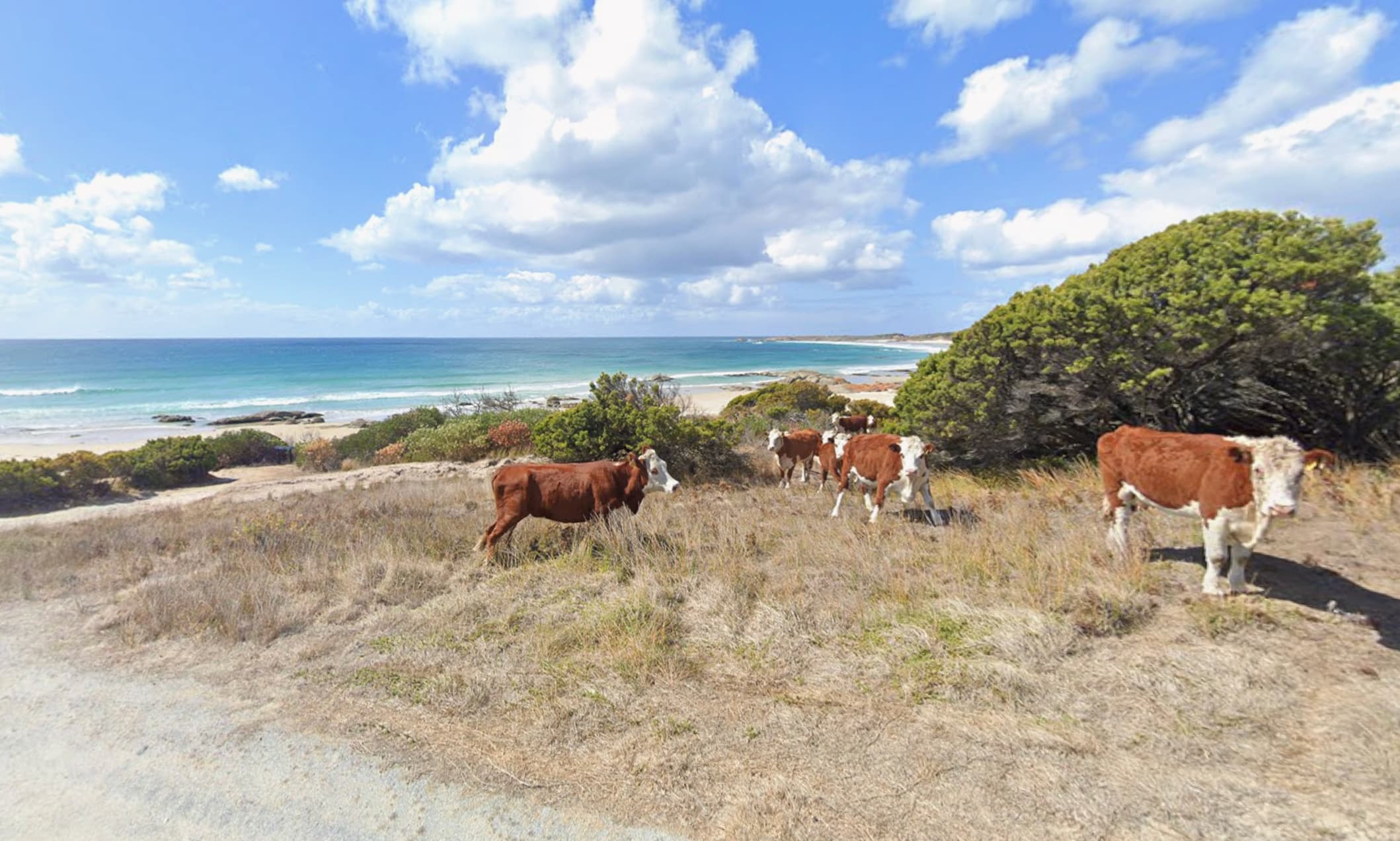 Google Maps getting sharper satellite imagery, more Street View