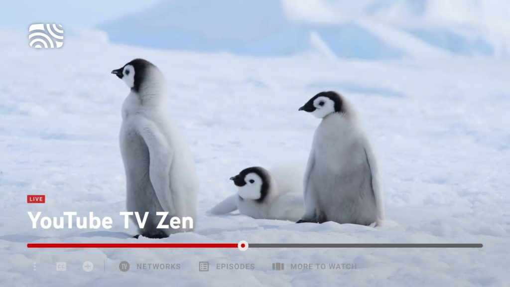 YouTube TV now has a 24/7 ‘Enjoy the zen’ channel