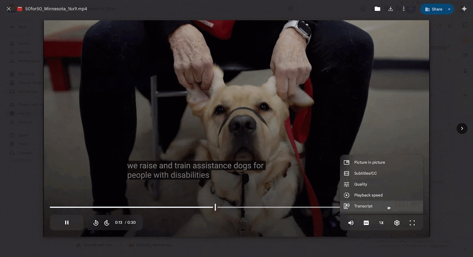 Google Drive adding video transcripts with search