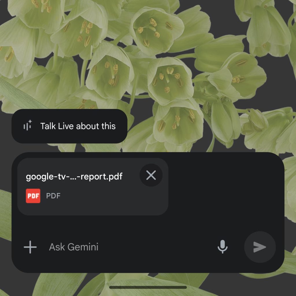 Gemini app widely rolls out ‘Talk Live about’ images, files, YouTube