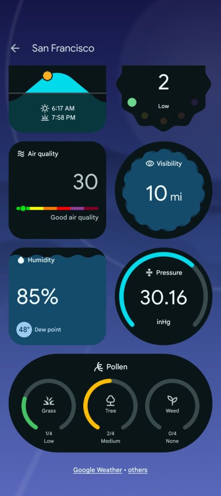 Pixel Weather starts rolling out pollen tracker in the US