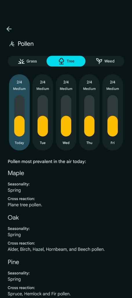 Pixel Weather starts rolling out pollen tracker in the US
