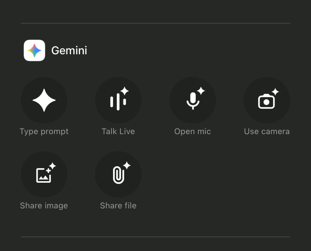 Google Translate adding Advanced’ or ‘Fast’ model picker